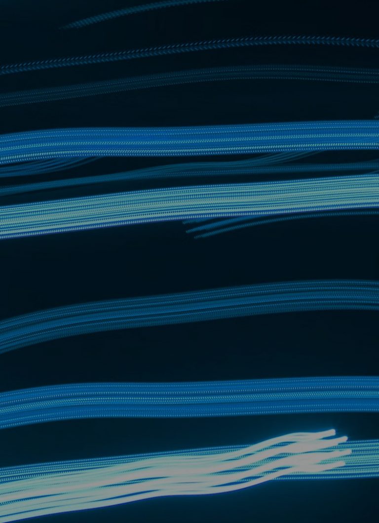 Voiseed | Voicing The Unvoiced